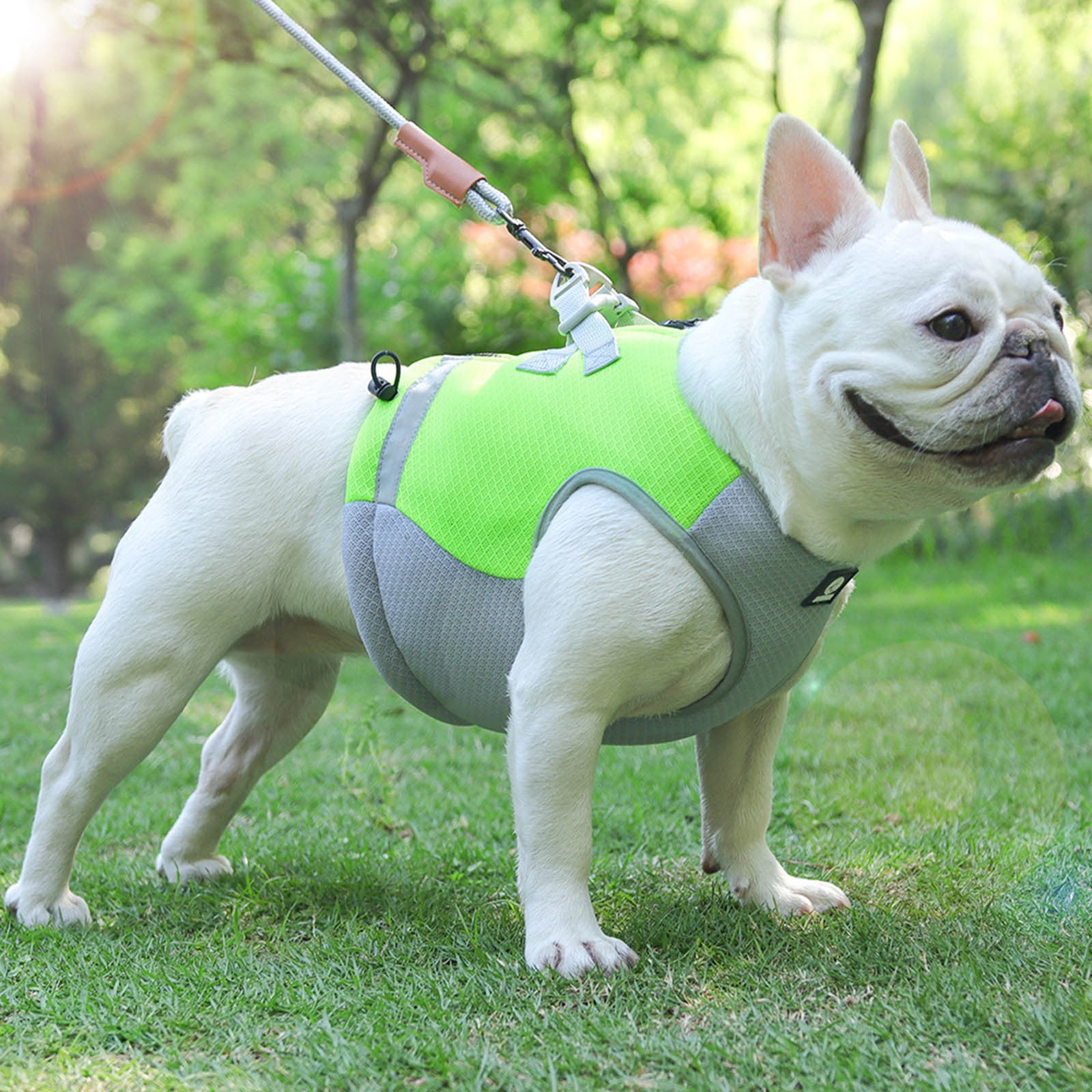 1 PCS Summer Dog Vest Instant Dog Clothes Breathable Walking Dog Dog ...