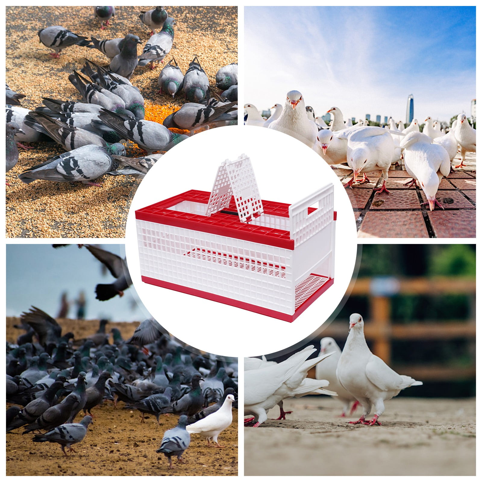 1 PCS White+Red Pigeon Cage, Plastic Transportation Pigeon Cage ...