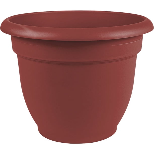 1 PK, Bloem AP1213-Bloem Ariana 12 In. Plastic Self Watering Burnt Red ...