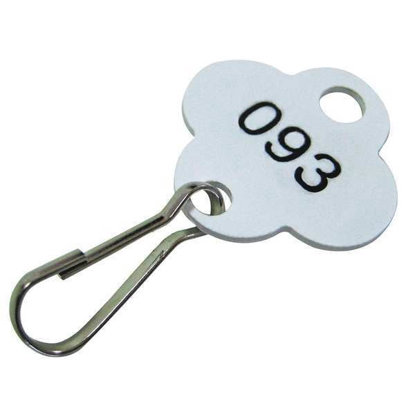 1 PK ZoroSelect Key Tag Numbered 1 to 100, White, 100 PK - Walmart.com