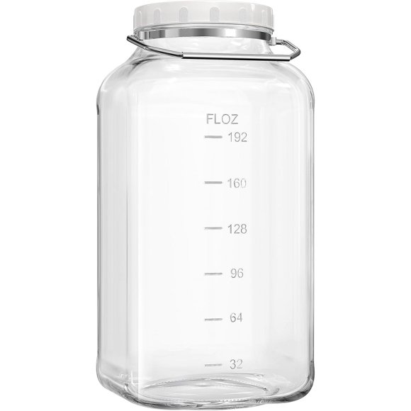 2 Gallon Glass Container
