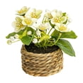 1 Pack Artificial Flower Potted Plant with Handwoven Rattan Pot, 5.5 ...
