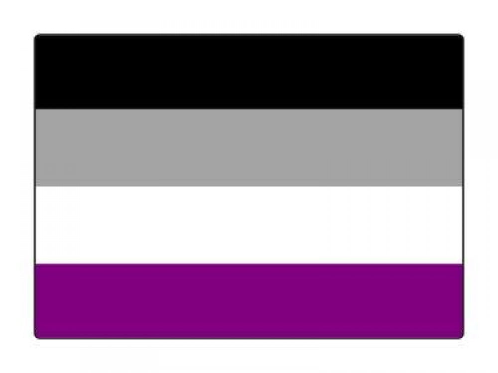 1 Pack - Asexual Pride Flag LGBTQ+ - 5x7 Inch Metal Print - Walmart.com