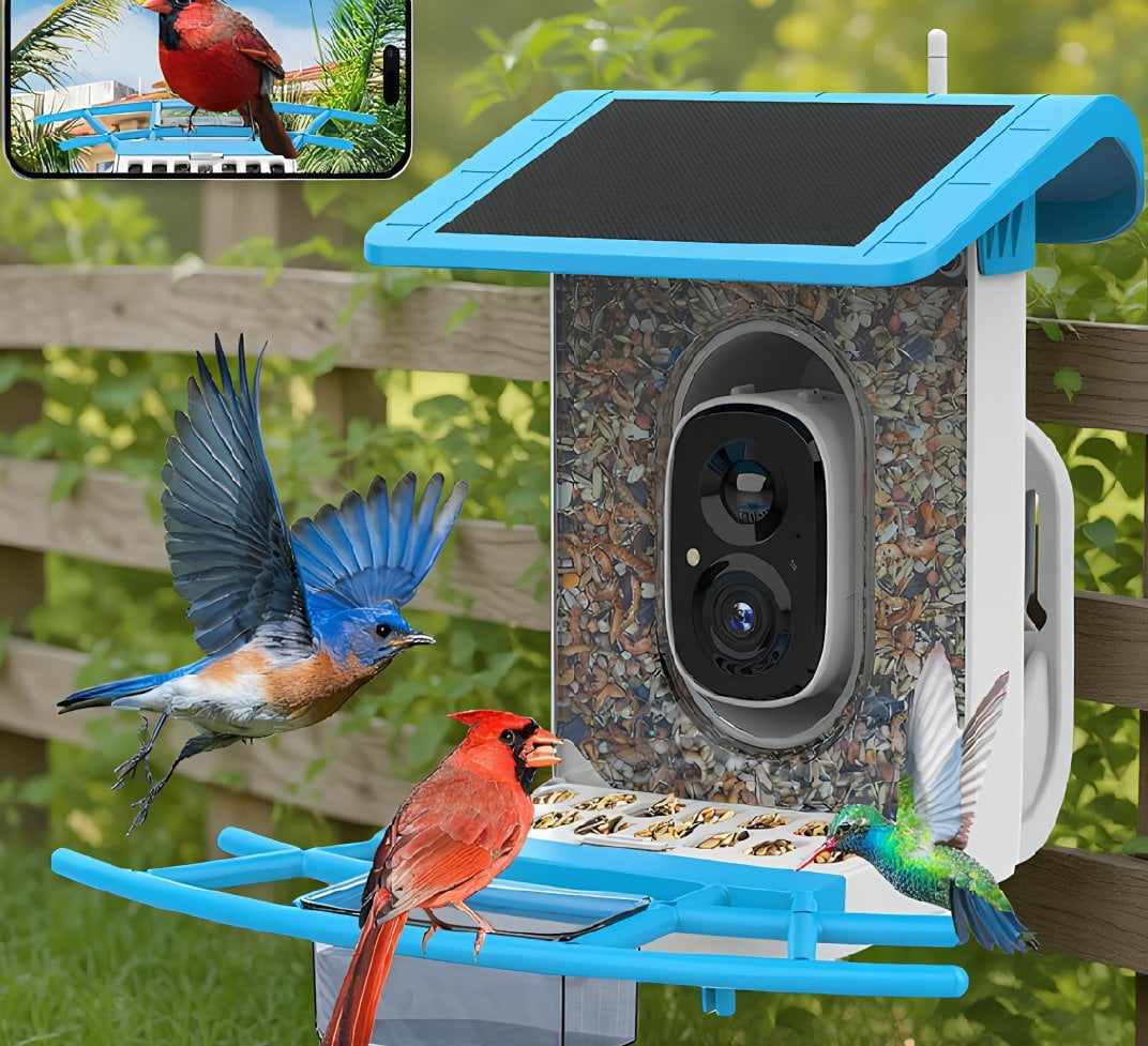 1 Pack Bird Feeder with Camera, 1080P Solar WiFi Outdoor Bird Feeder ...