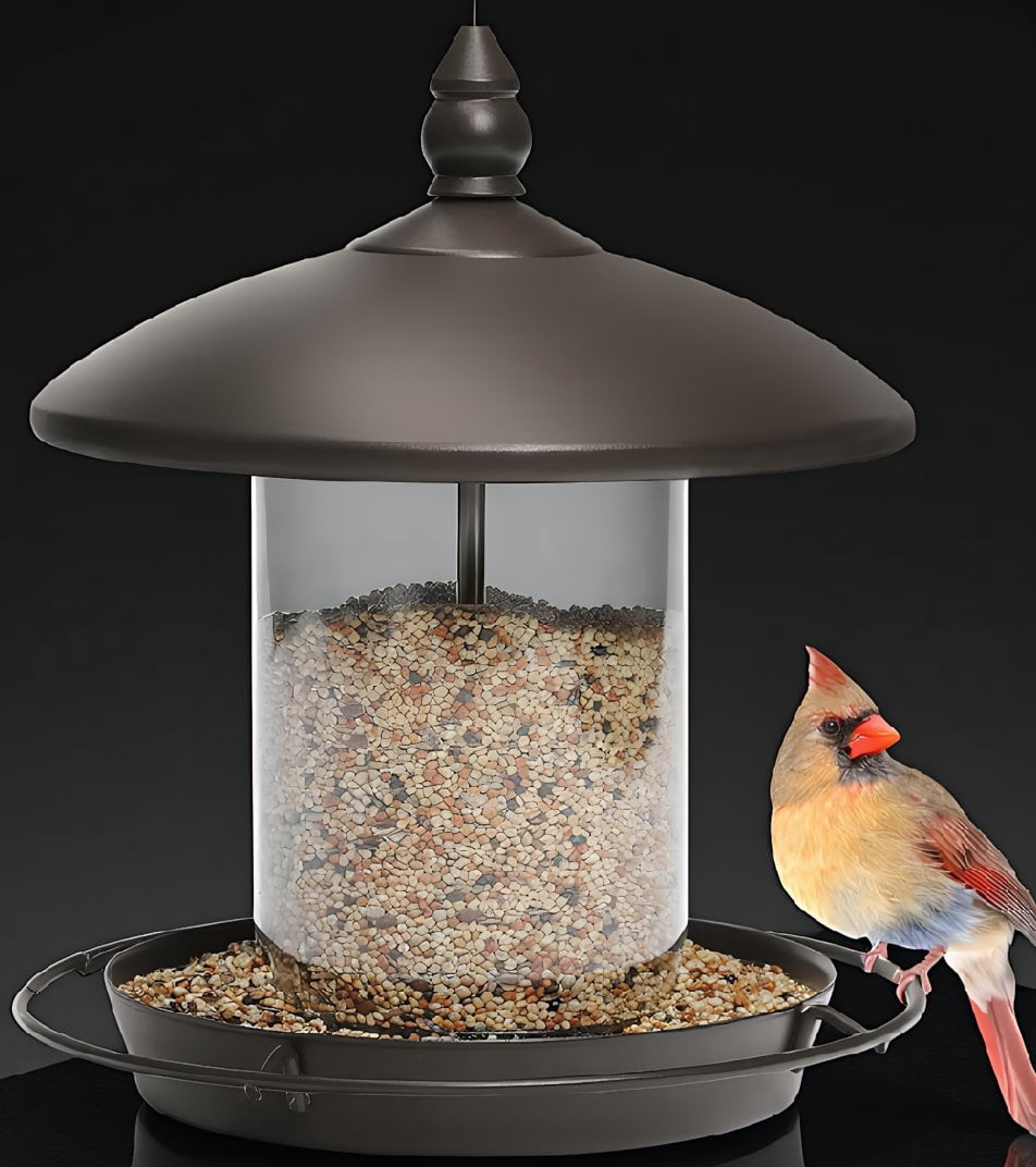1-Pack Bird Seed Feeder, Outdoor Hanging, Metal Top and Base ...