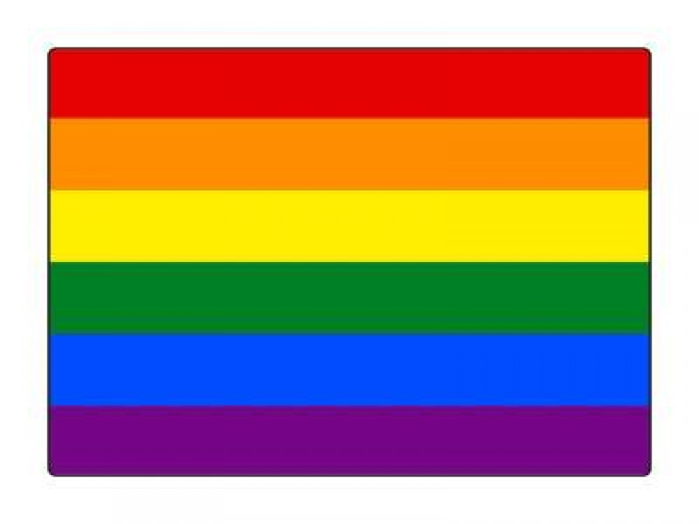 1 Pack - Classic Rainbow Pride Flag LGBTQ+ - 5x7 Inch Metal Print ...