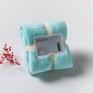 Salux Blue Nylon Exfoliating Wash Cloth for Body and Shower - Walmart.com