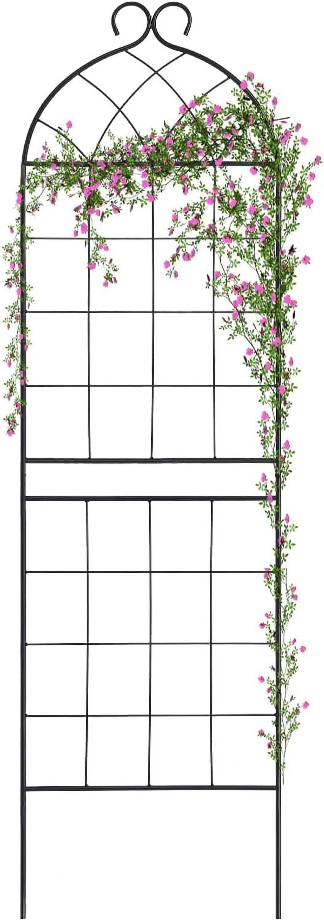 1 Pack Garden Trellis 71" H x 19.7" W for Climbing Plants Support ...