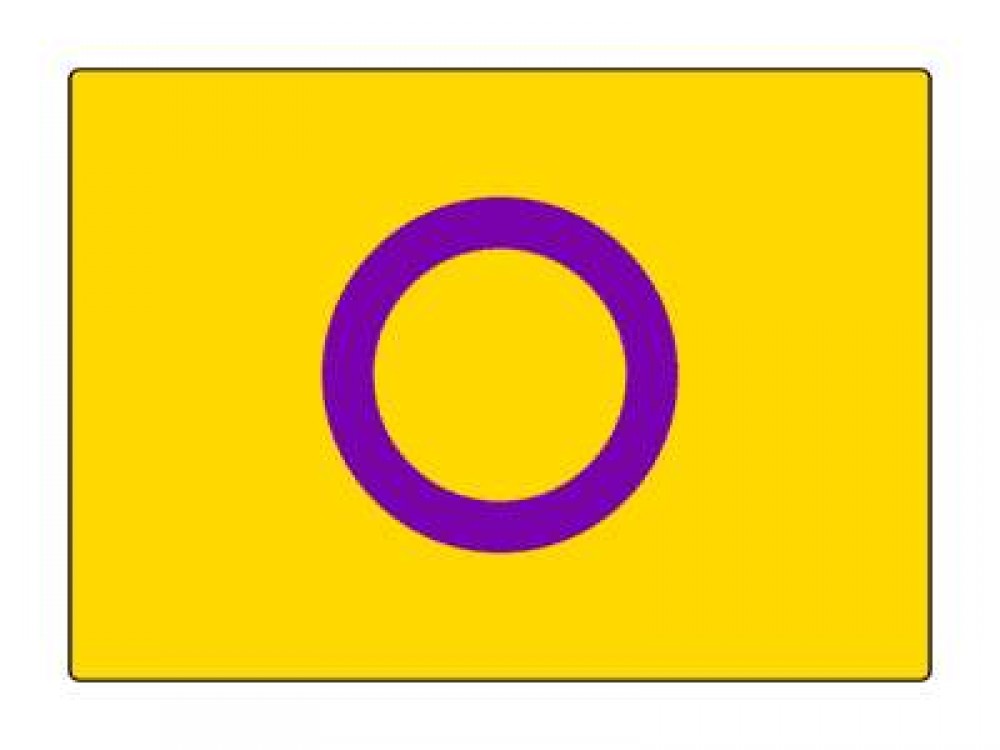 1 Pack - Intersex Pride Flag LGBTQ+ - 5x7 Inch Metal Print - Walmart.com