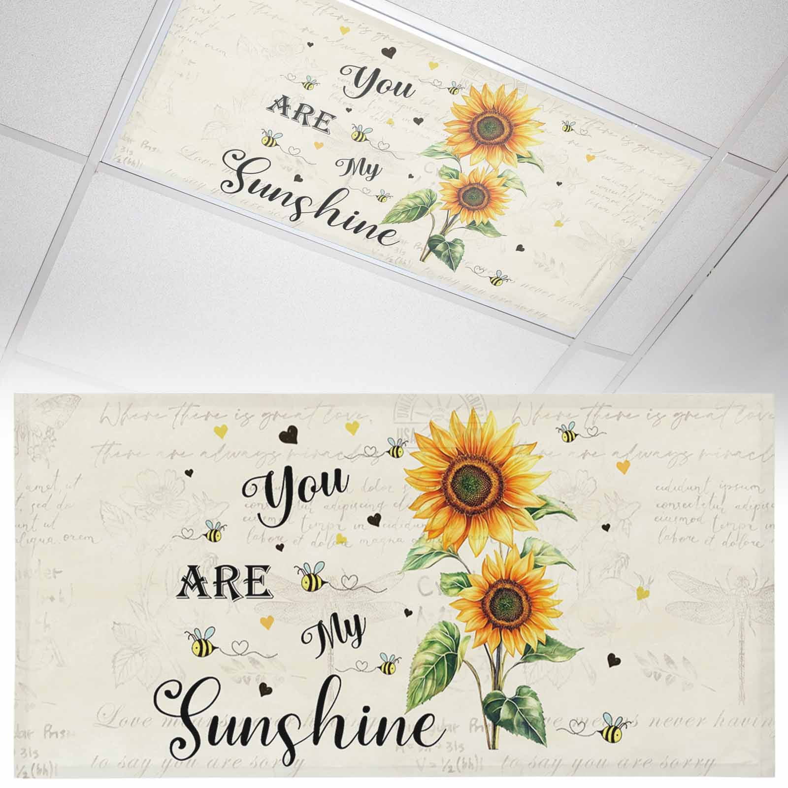 1 Pack Magnetic Fluorescent Light Covers 2x4 Ft, You Are My Sunshine ...