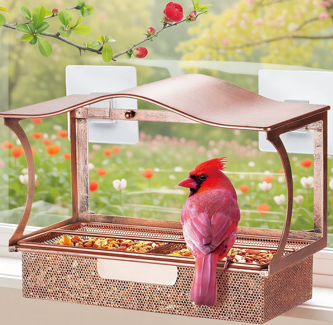 1-Pack Metal Window Bird Feeder with Suction Cups, Curved Design ...
