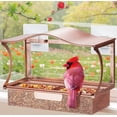 1-Pack Metal Window Bird Feeder with Suction Cups, Curved Design ...