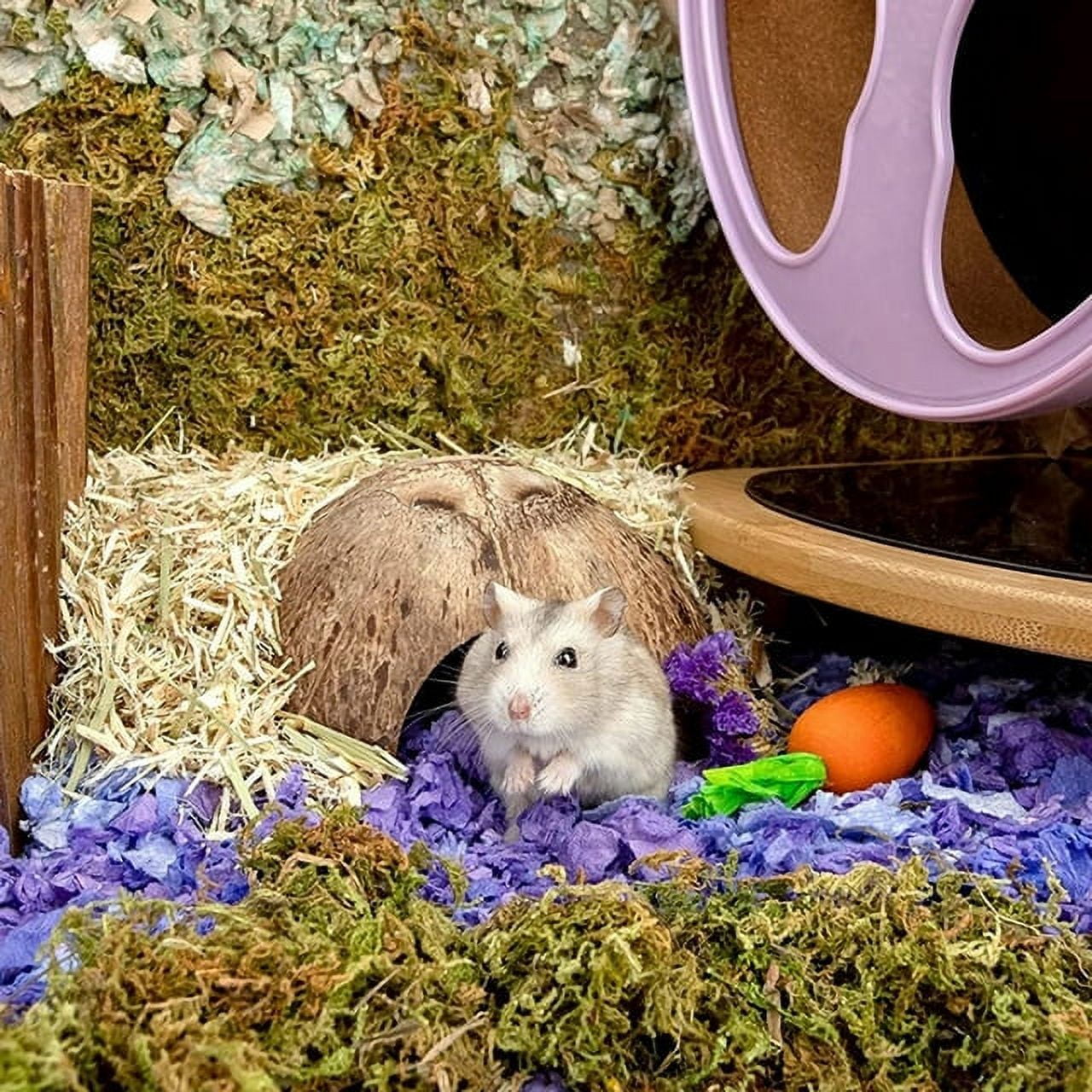 1 Pack Natural Coconut Reptile Hideouts, Lizard, Spider and Aquarium ...