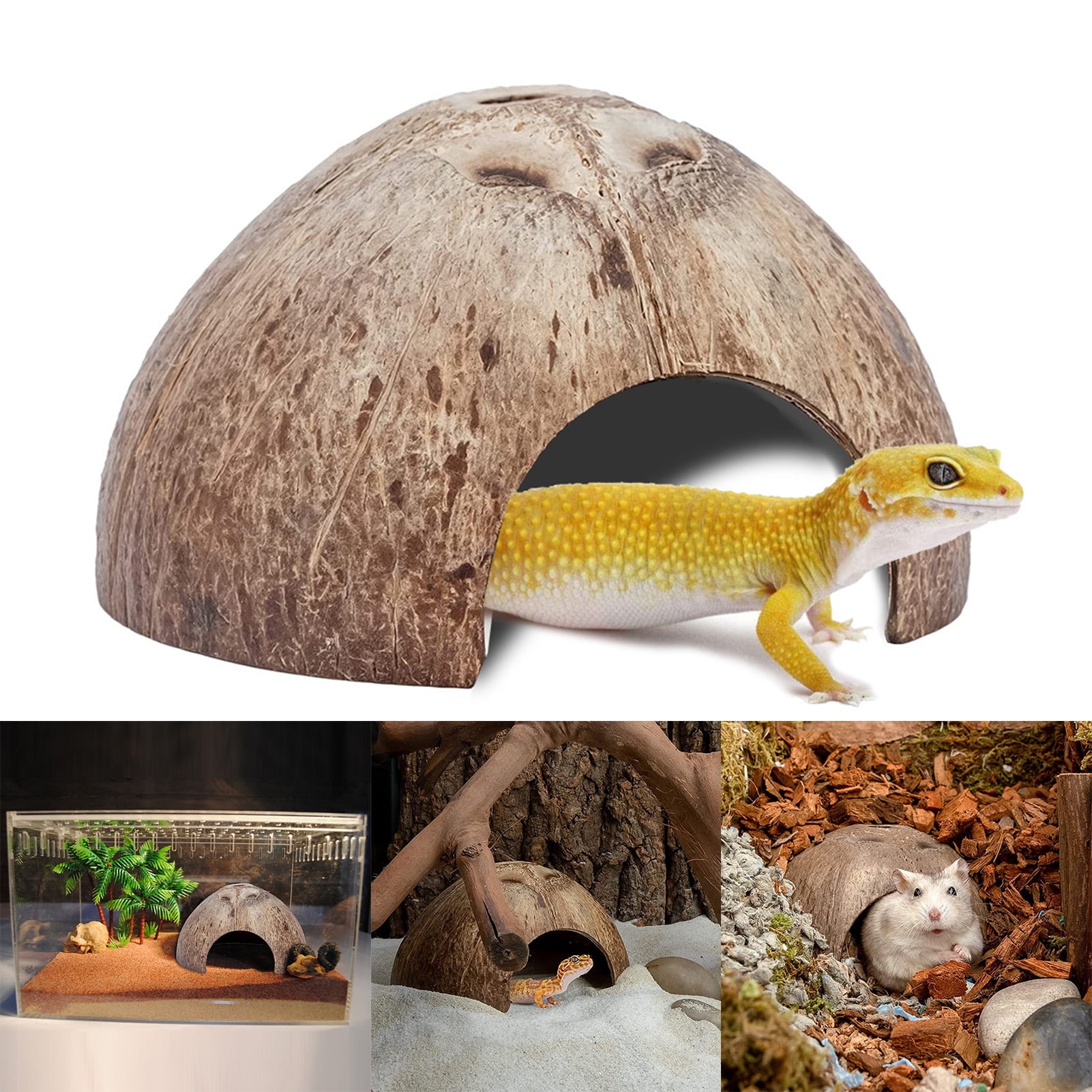 1 Pack Natural Coconut Reptile Hideouts, Lizard, Spider and Aquarium ...
