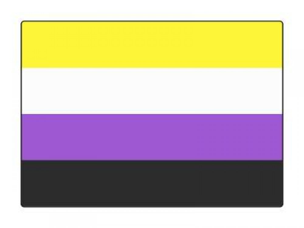 1 Pack - Non-Binary Pride Flag LGBTQ+ - 5x7 Inch Metal Print - Walmart.com