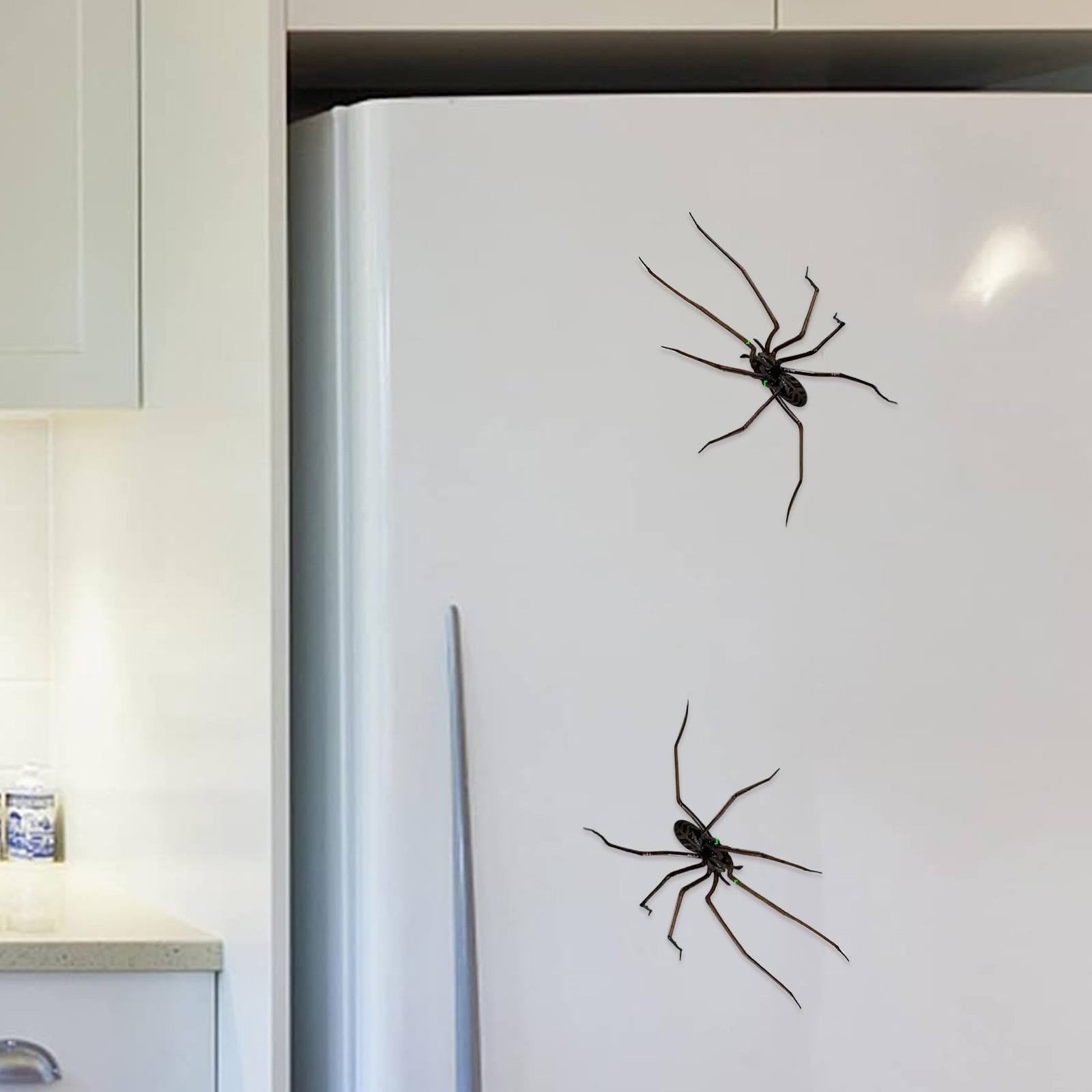1 Pack Spider Fridge Magnet,Plastic Spider As A Magnet,3D Realistic ...