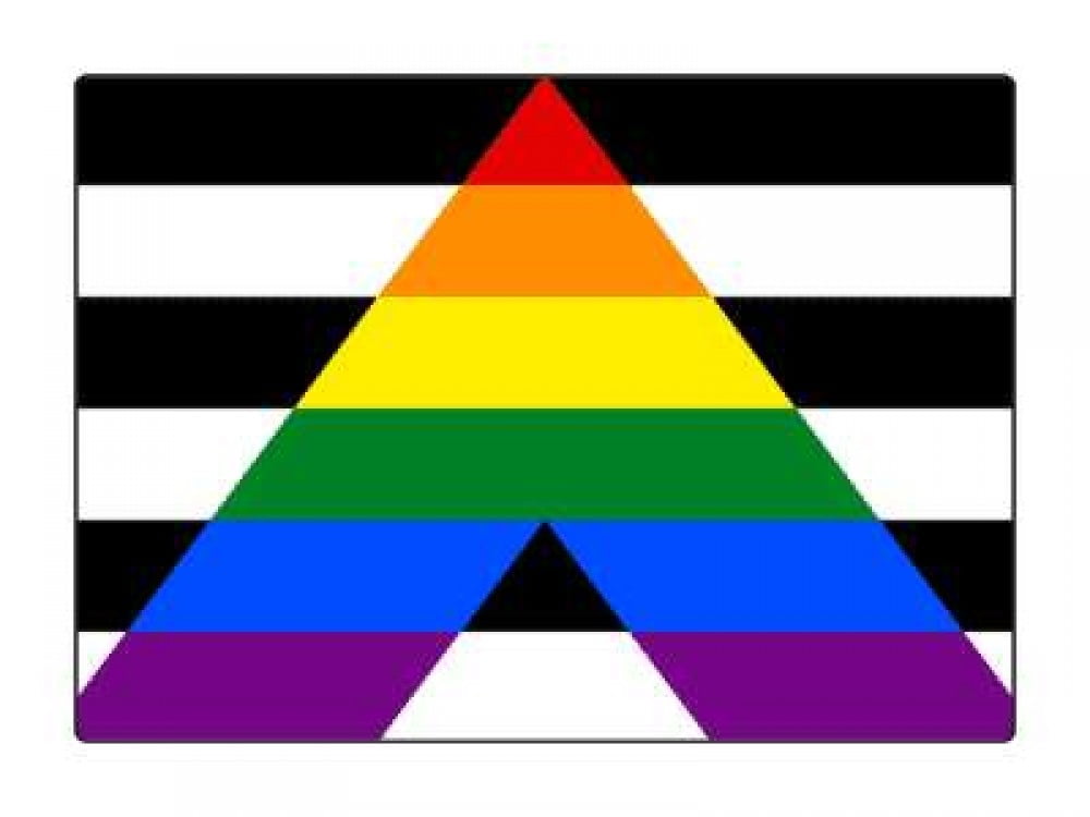 1 Pack - Straight Ally Pride Flag LGBTQ+ - 5x7 Inch Metal Print ...