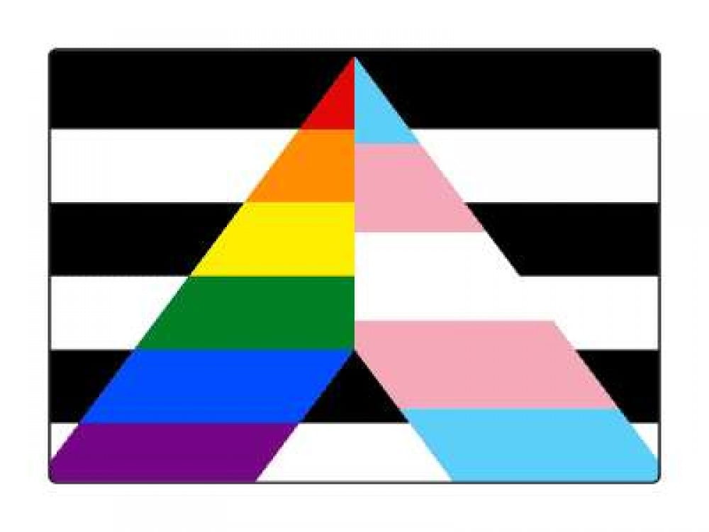 1 Pack - Straight Ally Rainbow / Transgender Pride Flag LGBTQ+ - 5x7 ...