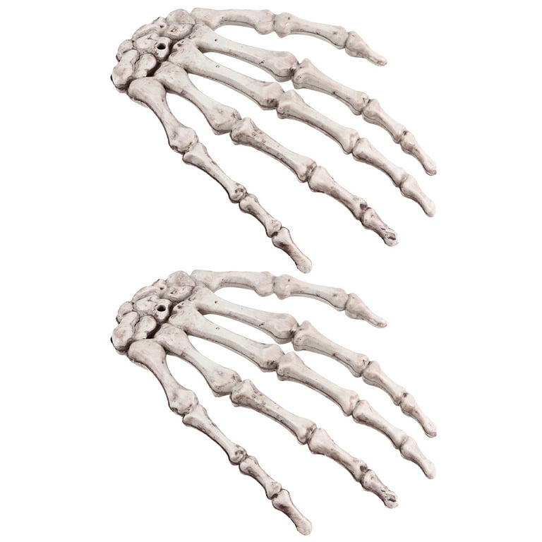 Real Skeleton Hand