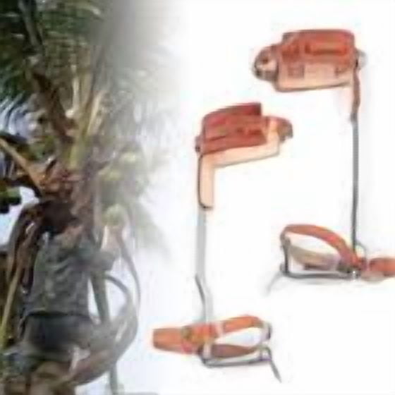 1 Pair Stainless Steel Tree Climbing Spike/ Spur Pair Safety Climbing ...