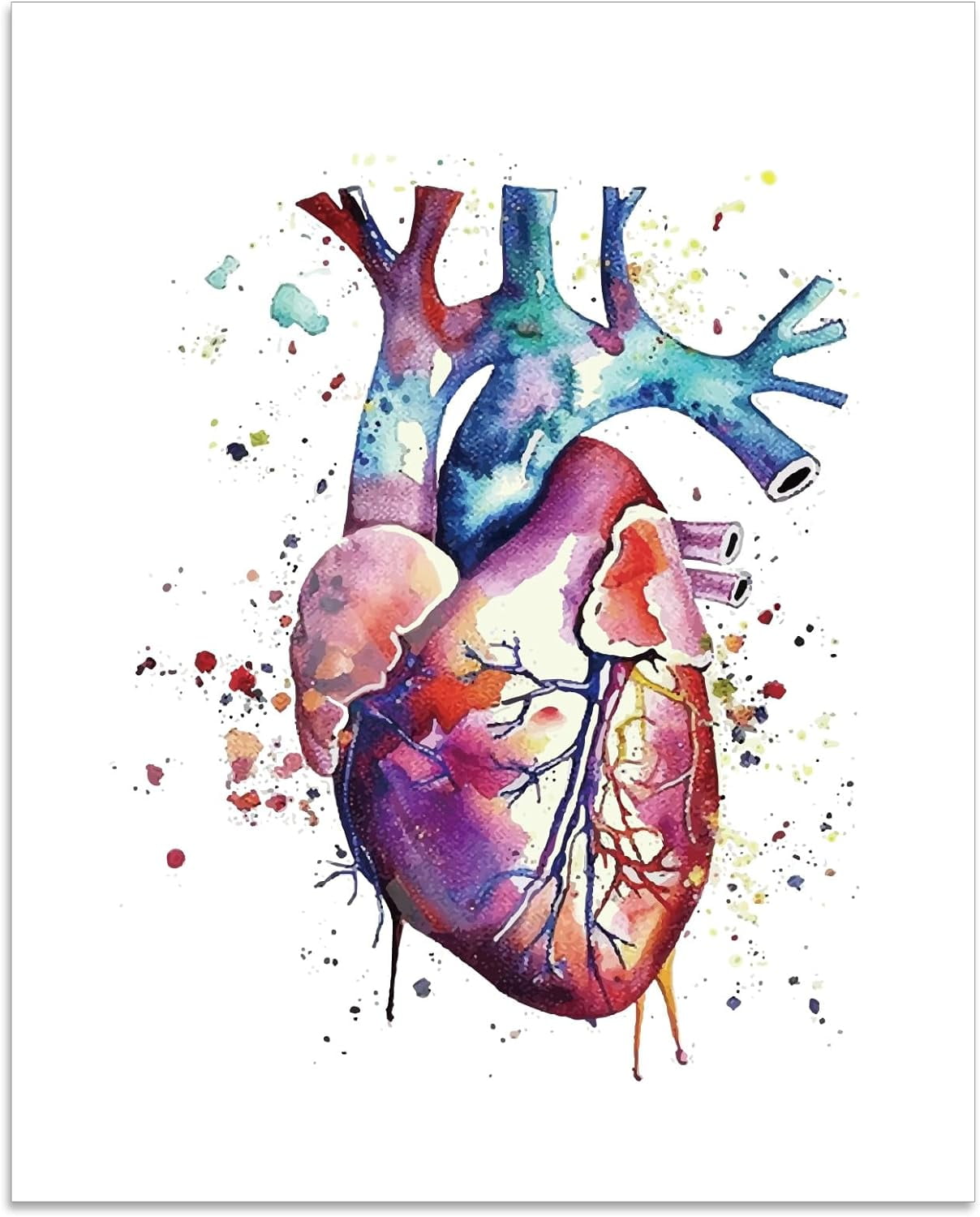 1 Pc Anatomy Heart Picture Poster Dreamful Anatomy Wall Art Print ...