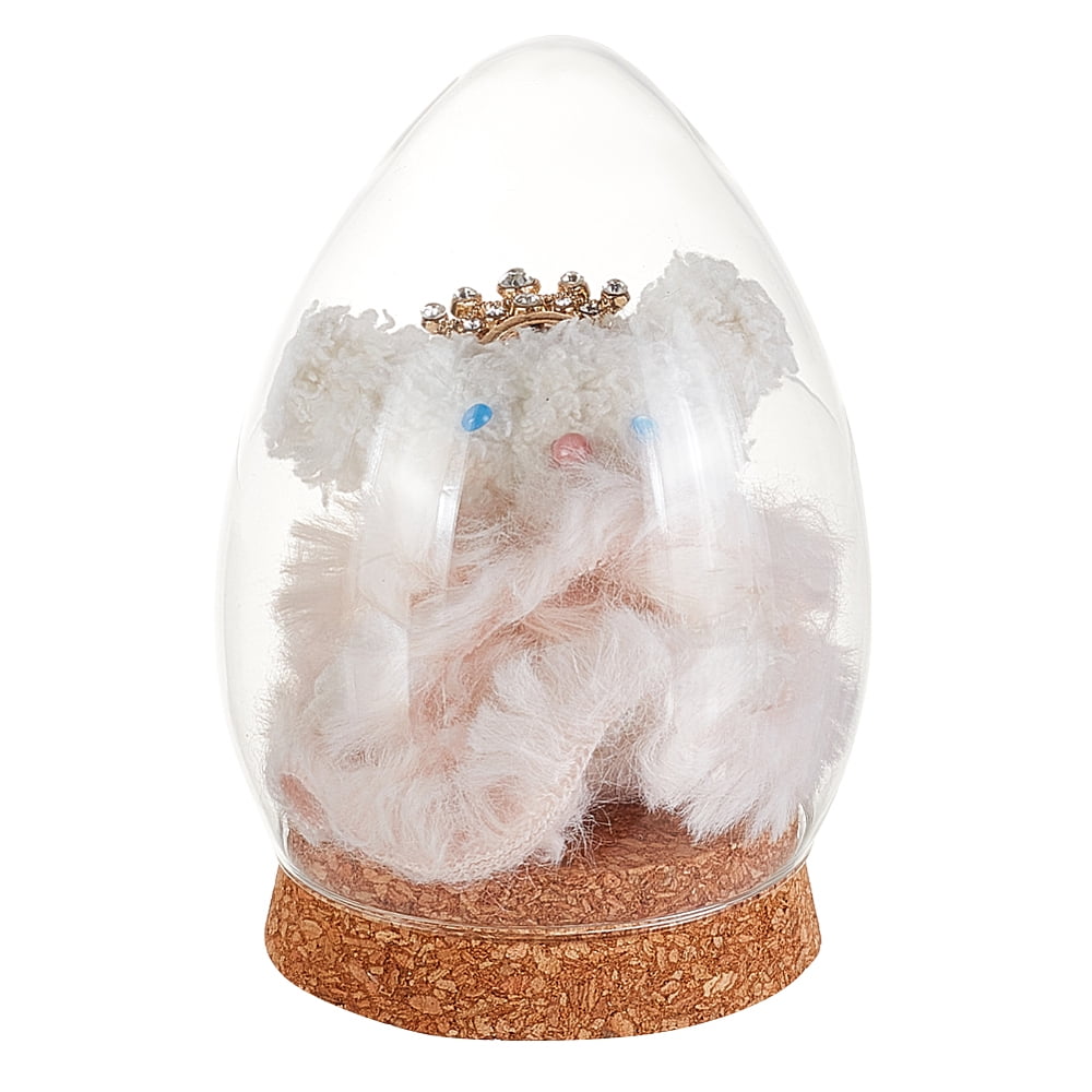 1 Pc Egg Glass Display Dome Cloche 3.19x4.53 Inch Cloche Bell Jar ...