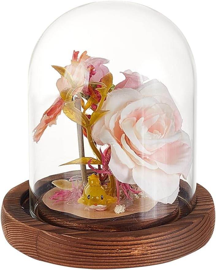 1 Pc Glass Display Dome Cloche 4.06x4.41 Inch Cloche Bell Jar Terrarium ...