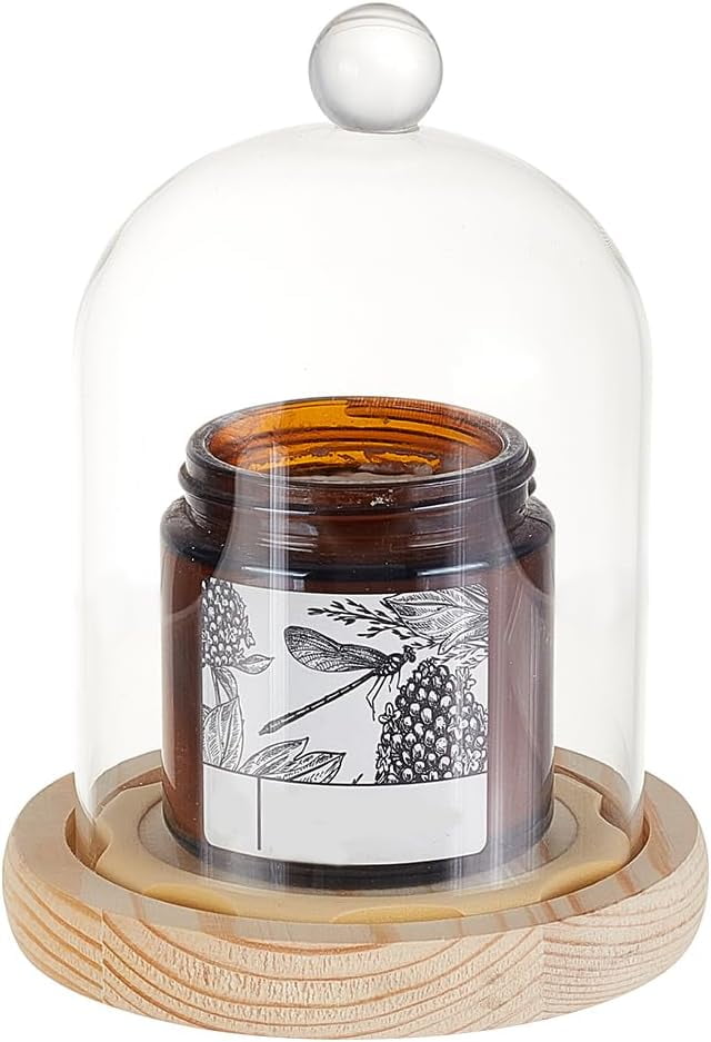 1 Pc Glass Display Dome Cloche 4.45x5.91 Inch Cloche Bell Jar Terrarium ...