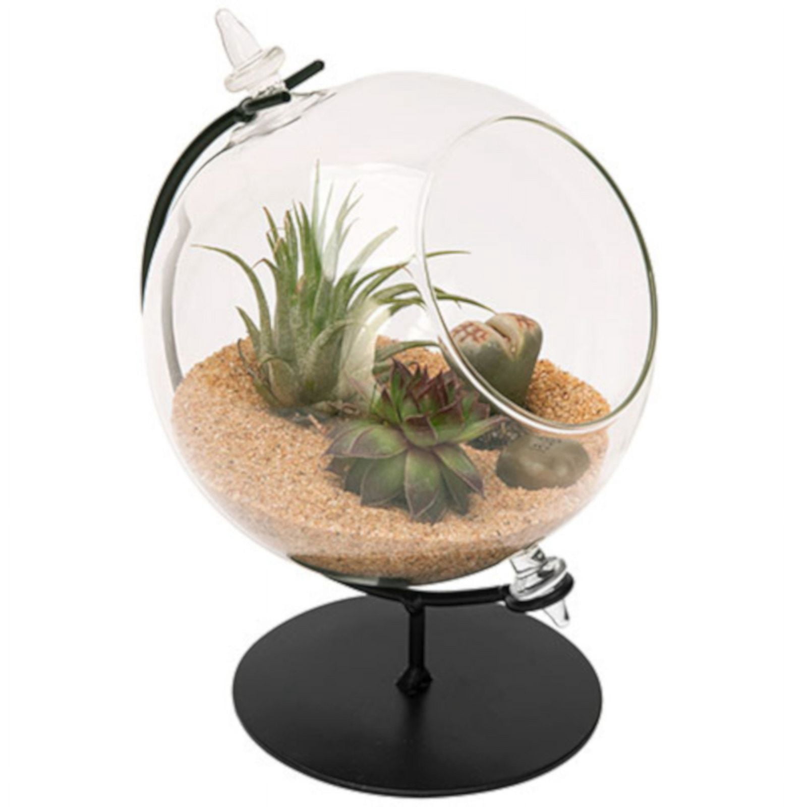 1 Pc, Panacea 7 In. H X 5 In. W X 4.5 In. D Glass Desktop Terrarium ...
