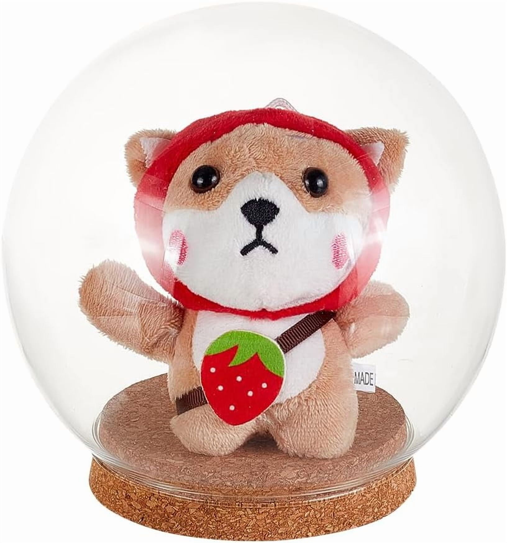 1 Pc Round Glass Display Dome Cloche 5.91x6.02 Inch Cloche Bell Jar ...