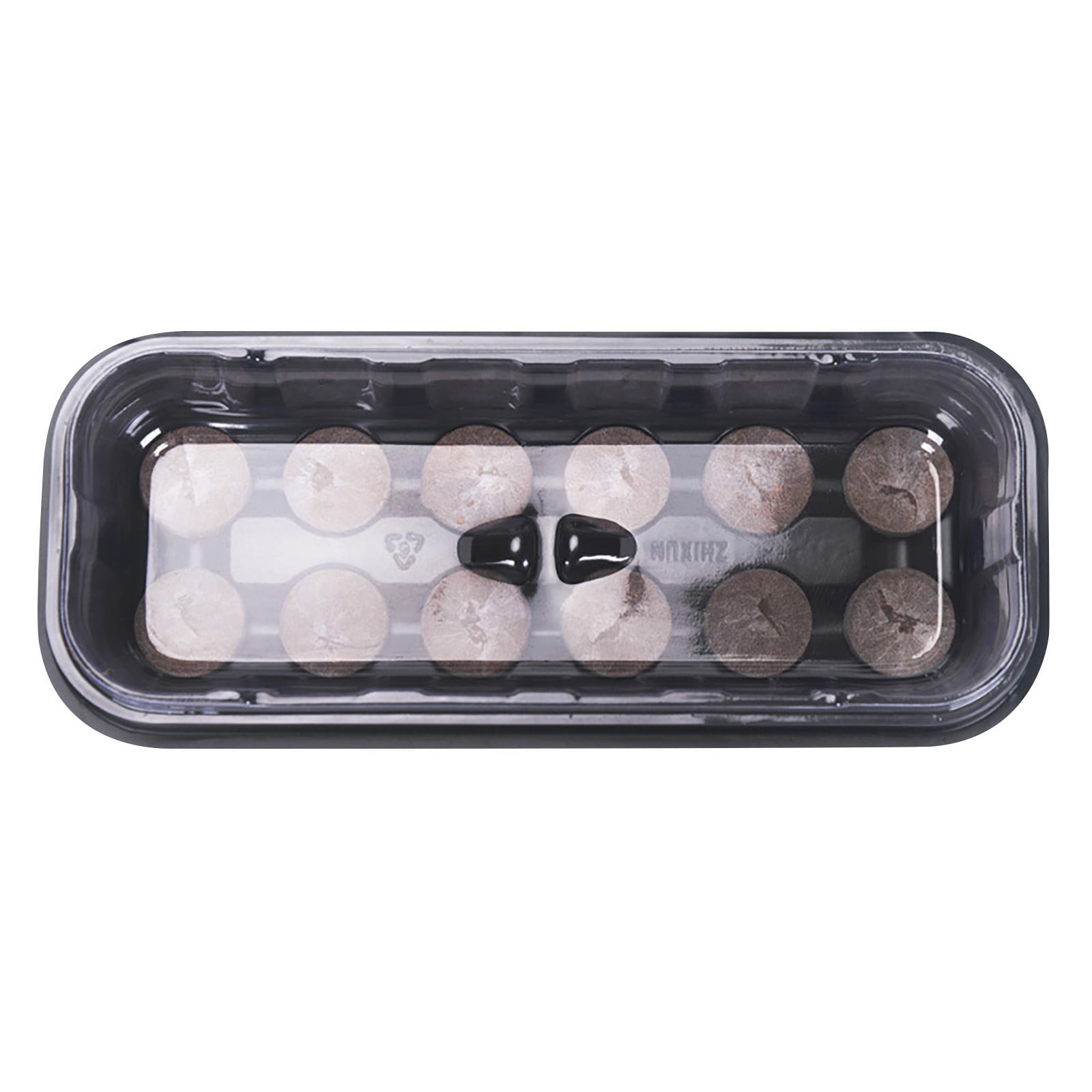 1 Pcs 12 Grid Seed Starter Tray with Hydroponic Sponge Blocks, Reusable ...