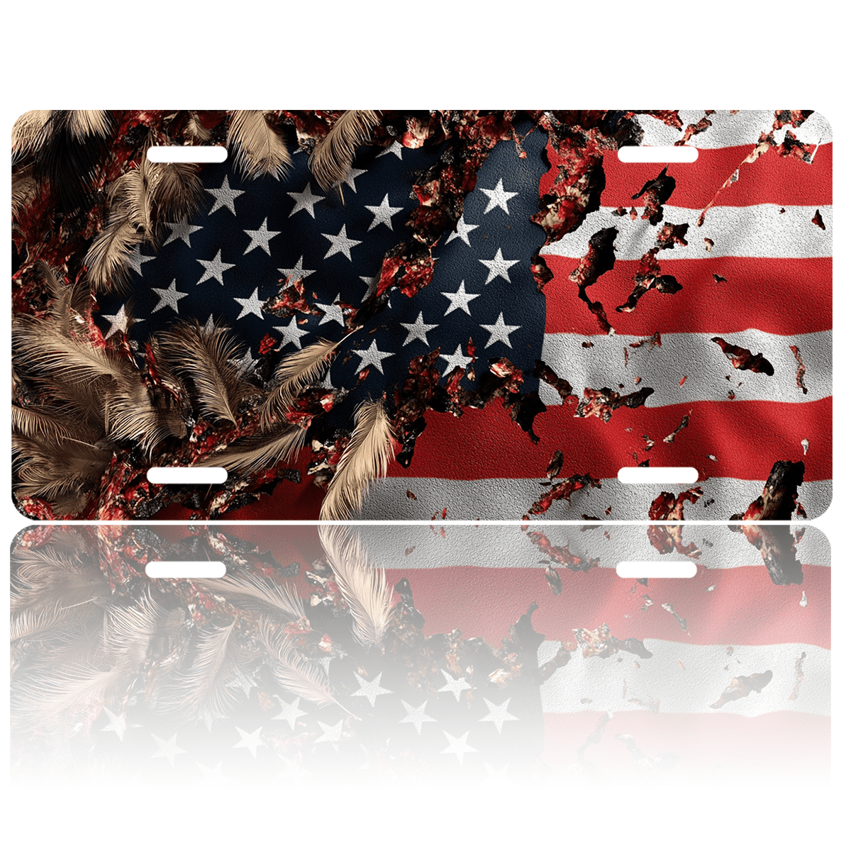 1 Pcs 2D Flat License Plate Covers & Frames, Damaged American For ...