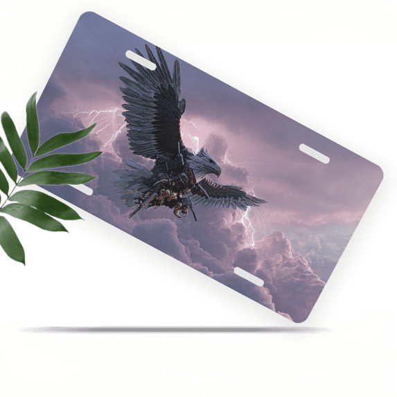 1 Pcs 2D Flat License Plate Covers & Frames, Flying Eagle For ...