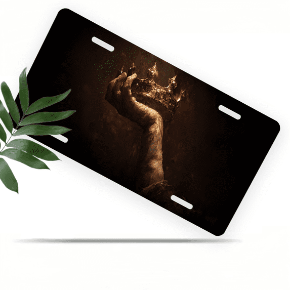 1 Pcs 2D Flat License Plate Covers & Frames, A Hand Holding For ...