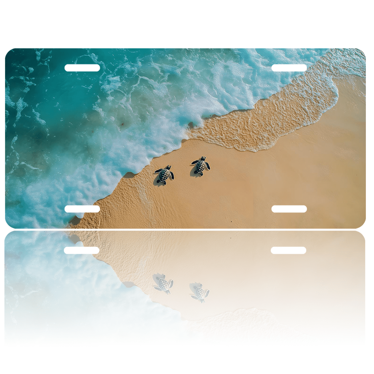 1 Pcs 2D Flat License Plate Covers & Frames, Two Baby Turtles For ...