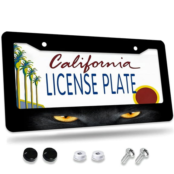 1 Pcs Oranges Ice License Plate Frame, License Plate Cover for Car ...