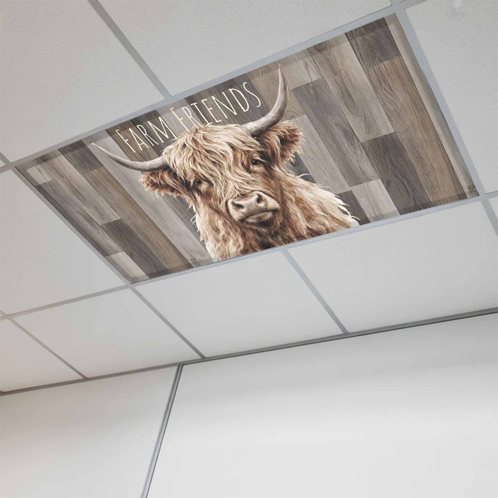 1 Pcs Farm Animal Friends Fluorescent Light Covers Country Highland Cow ...