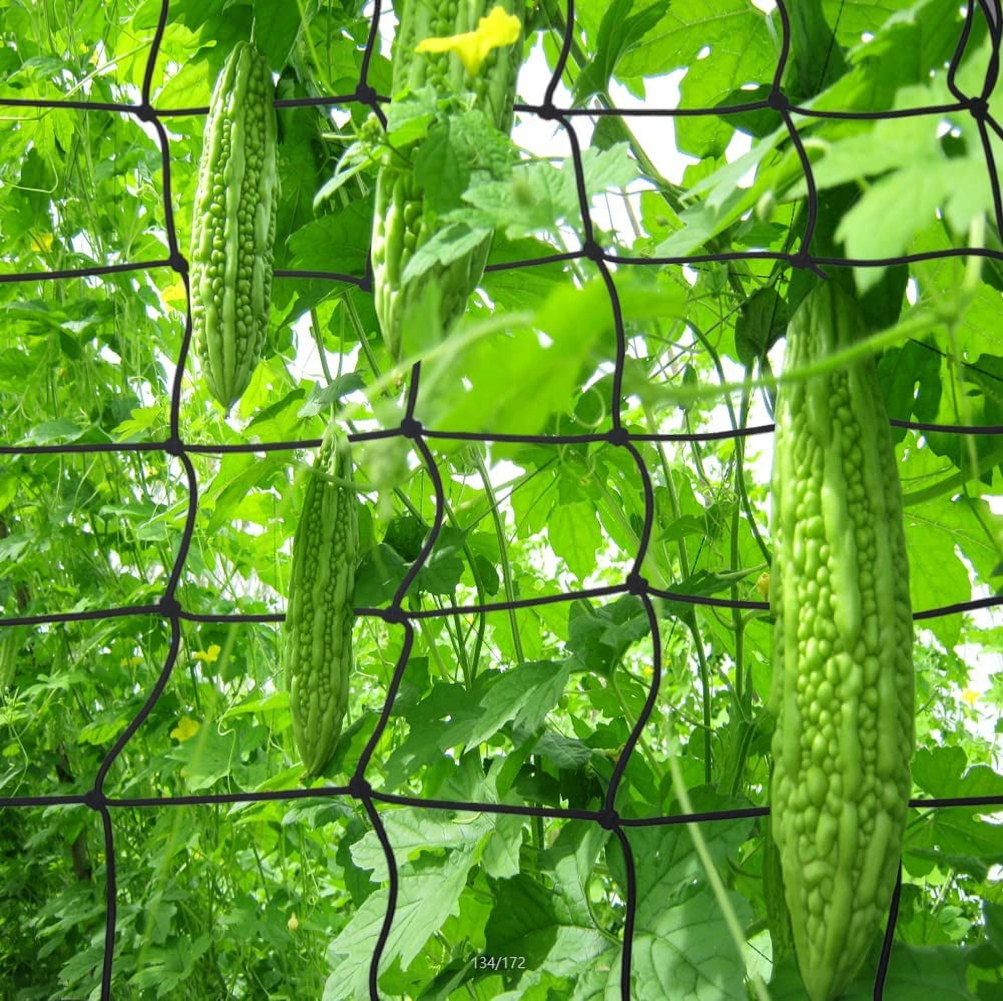 1 Pcs Grow Tent Net, Flexible Net Trellis, Fits 4x4ft and More Size ...