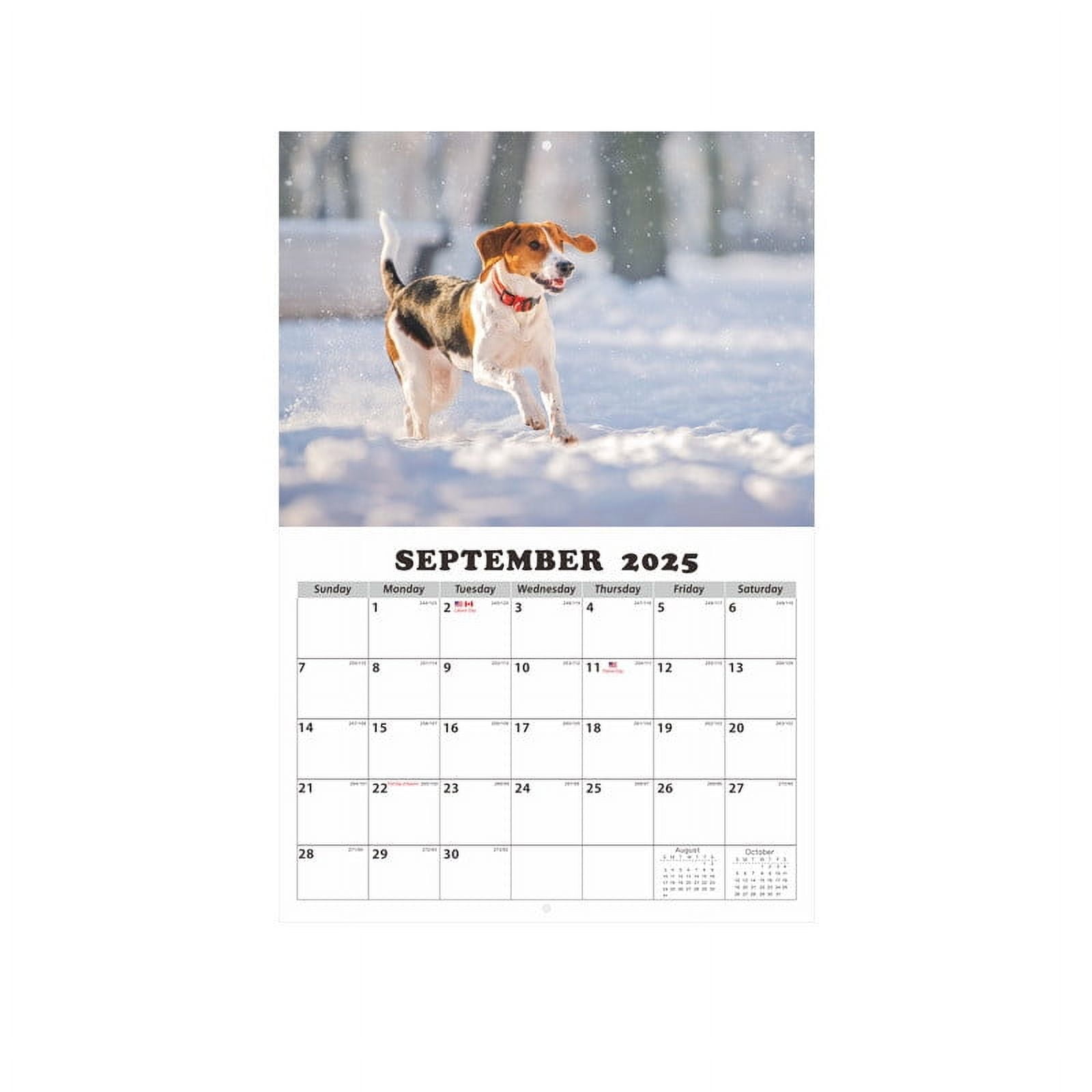 1 Pcs Unique Dog Calendar Decor - Stress Relief Desktop Art, Plastic ...
