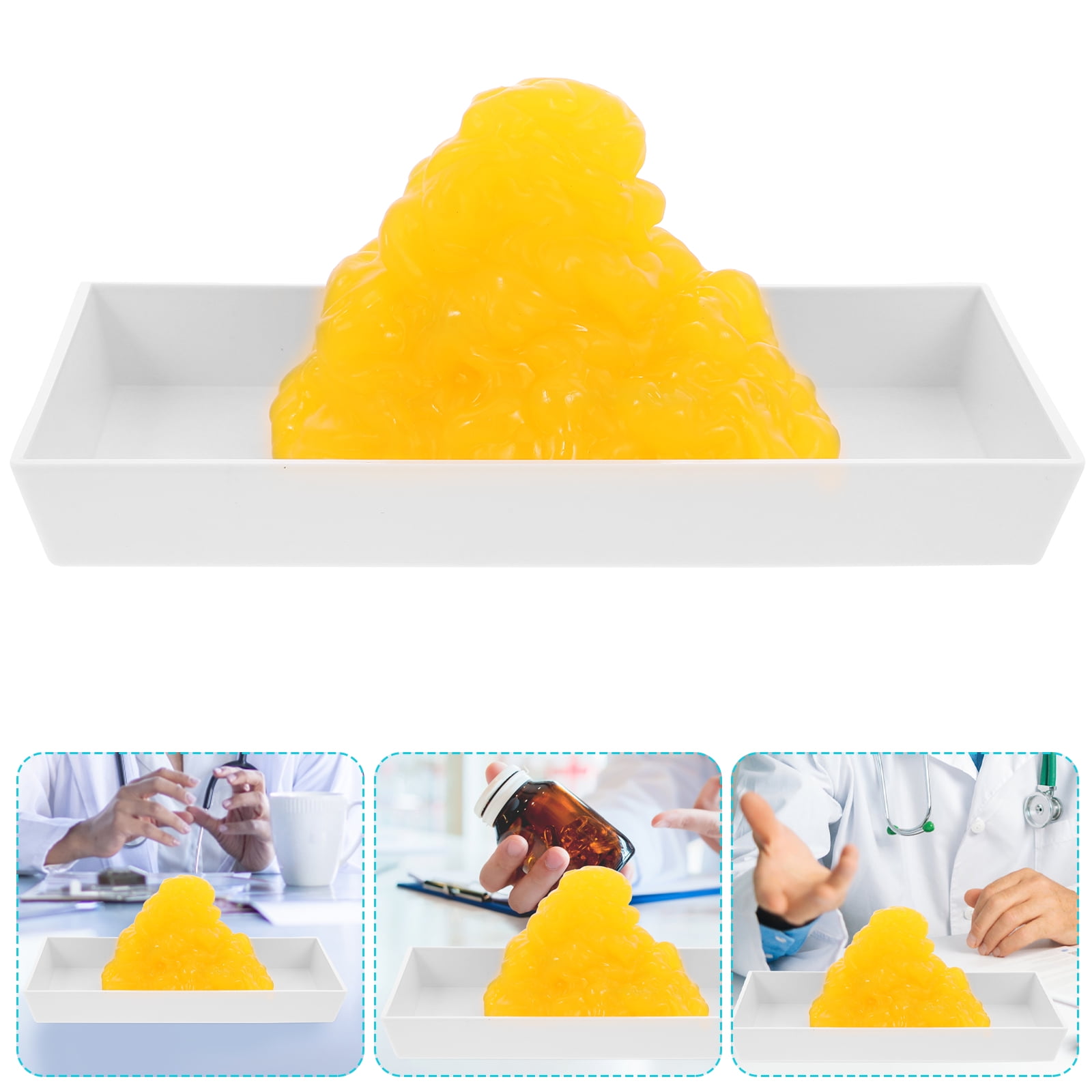 1-Pound Body Fat Replica, Body Fat Model Human Body Fat Replica 1-pound ...