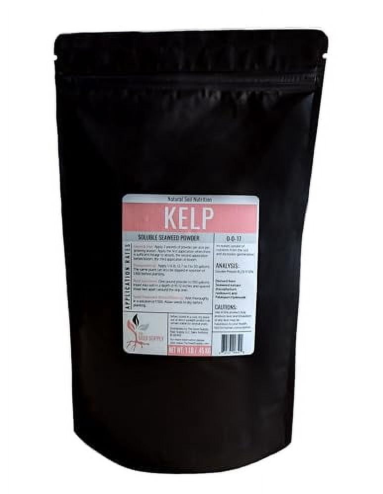 1 Pound Soluble Kelp Seaweed Powder - Plant Root Development and Growth ...