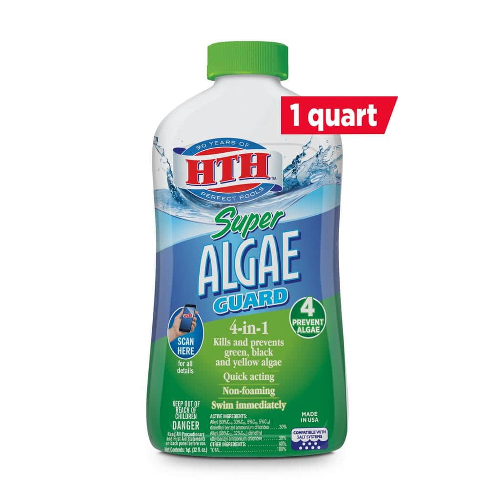 1 Qt. Pool Super Algae Guard 60 - Walmart.com