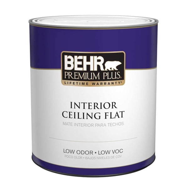 White Ceiling Paint