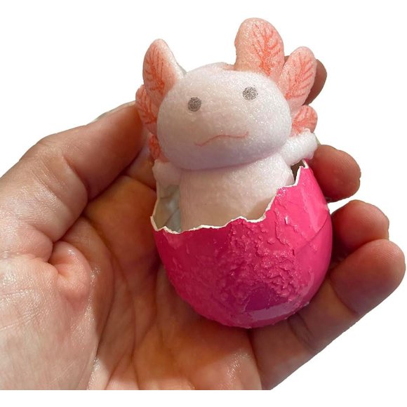 Expandable Water Toy