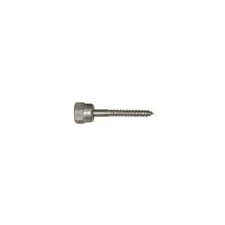 Sammy Screw