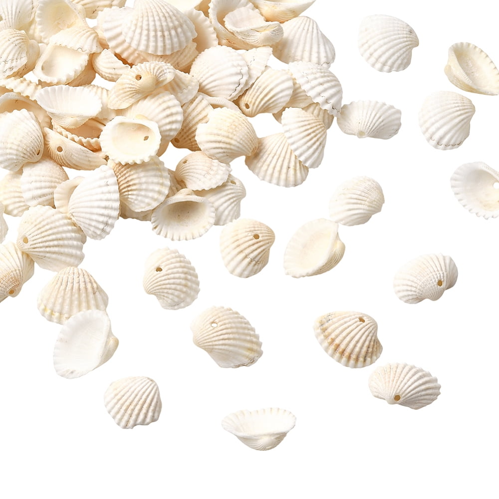 1 Set 100Pcs Natural Clam Shell Pendants Shell Shape Seashell Color 15 ...