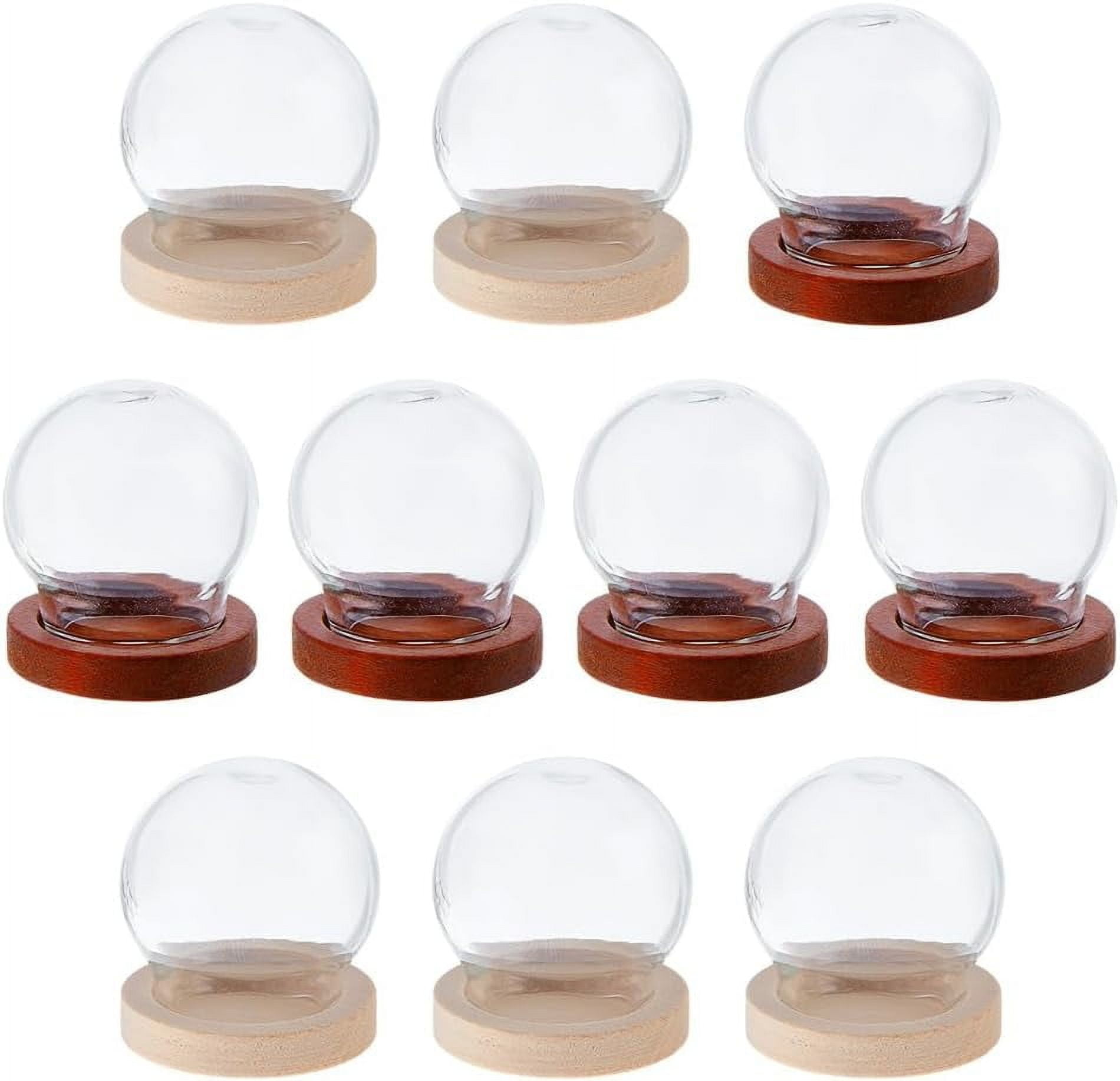 1 Set 10Pcs Glass Display Dome With 2 Colors Wood Base Round Glass ...