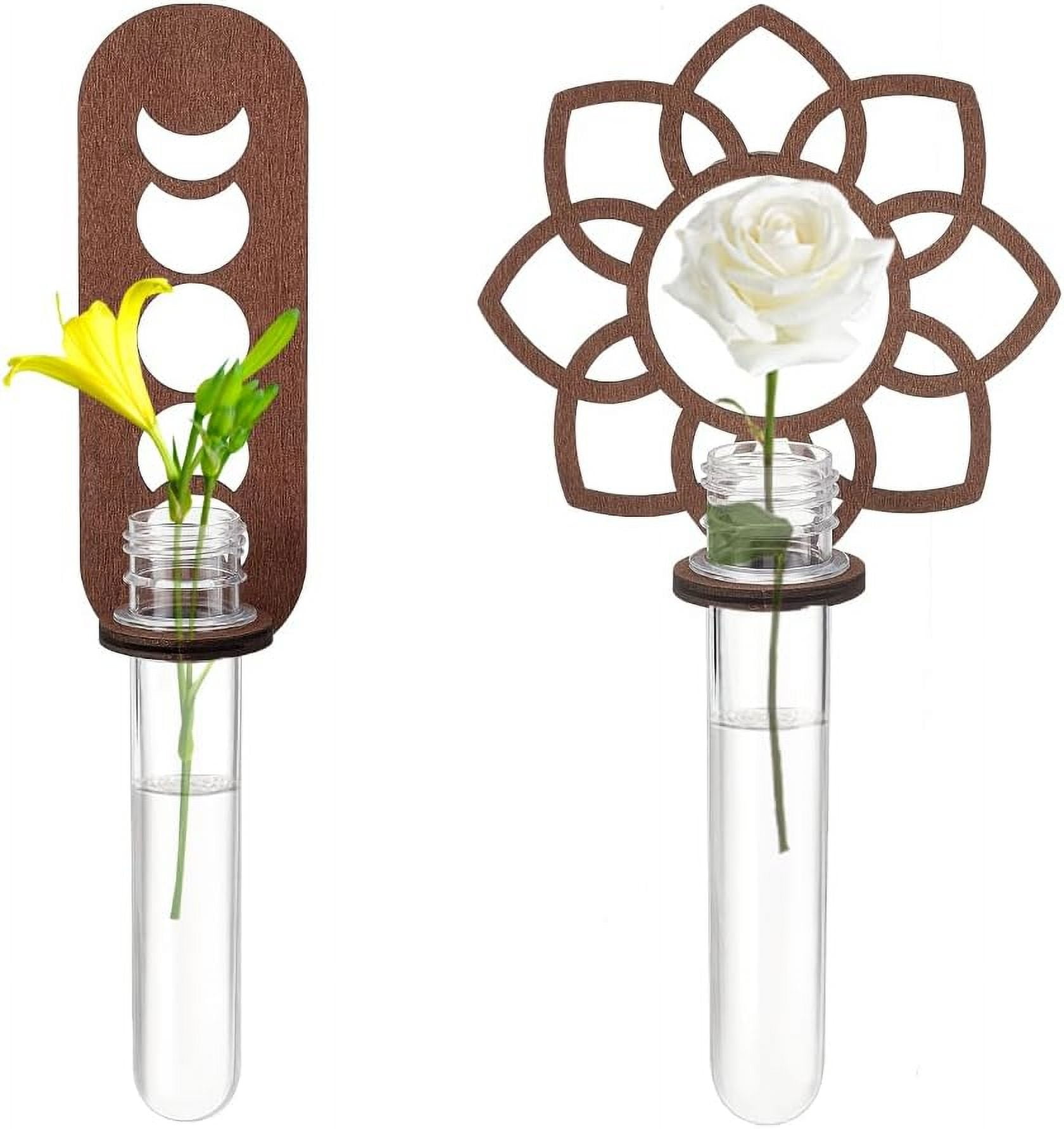 1 Set 2 Sets Plant Propagation Station Moon Phase Wall Hanging ...