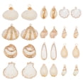 1 Set 24Pcs 12 Styles Electroplated Natural Mixed Shell Pendants Shell ...