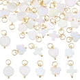 1 Set 40Pcs 5 Style Natural Shell Pendants with Brass Findings & 304 ...